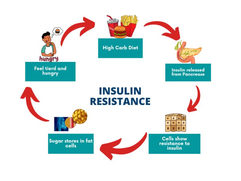 Lưu ý chế độ ăn kiểm soát tình trạng kháng Insulin cho người bệnh tiểu ...